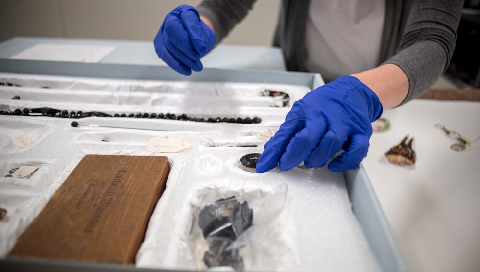 Agnes - What Is Art Conservation? | Queen's Alumni