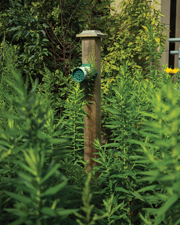 Queen's advances UN's SGDs | Queen's Alumni Review