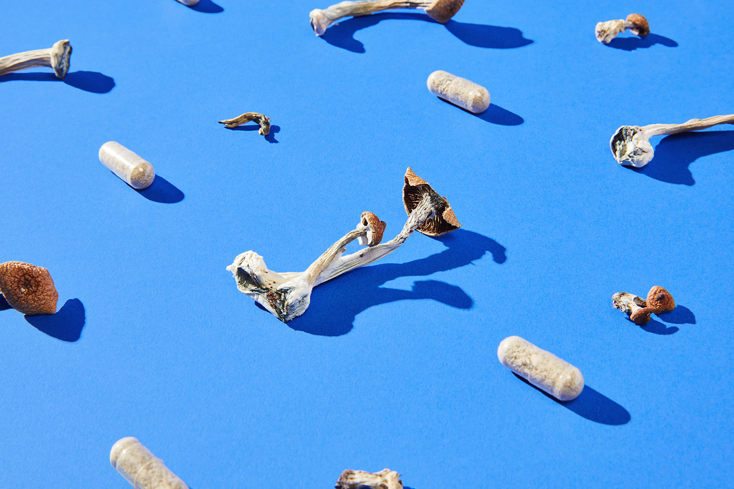 Psychedelic drugs and psychotherapy | Queen's Alumni Review