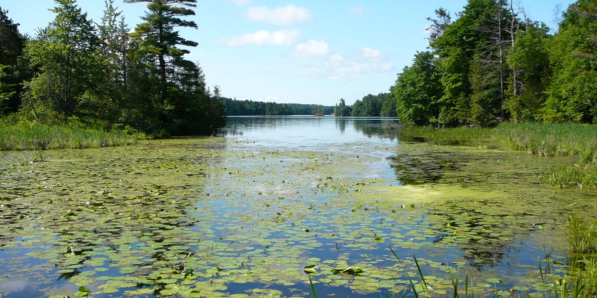 Queen's University Biological Station (QUBS) | Queen's University ...