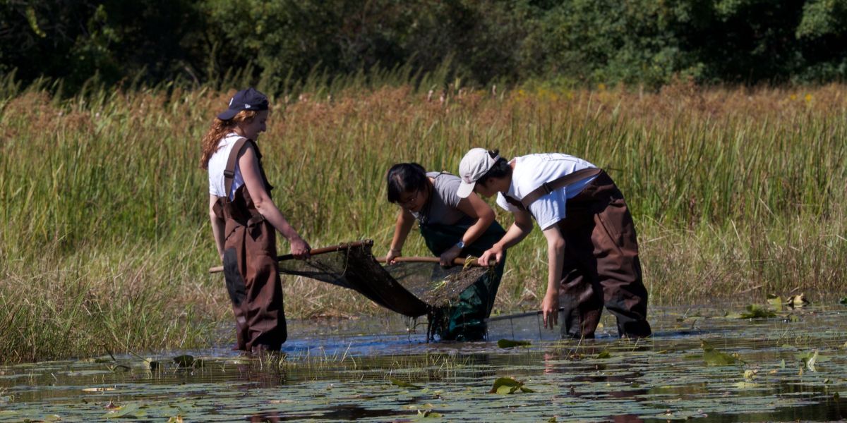 Queen's University Biological Station (QUBS) | Queen's University ...