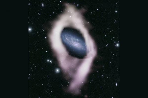 Queen's Gazette | Queen's University