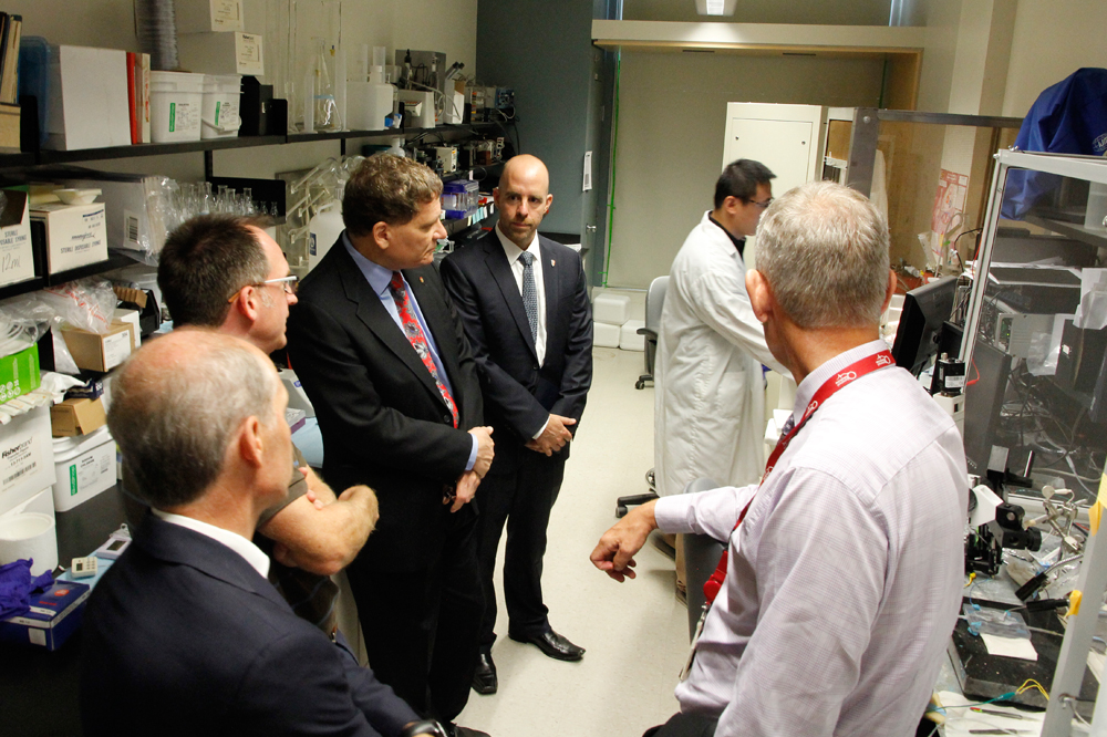 The present and future of medical research | Queen's Gazette | Queen's ...