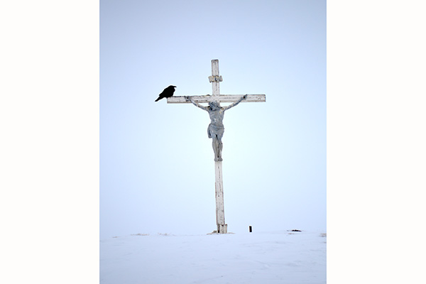 Finding a muse in research | Queen's Gazette | Queen's University