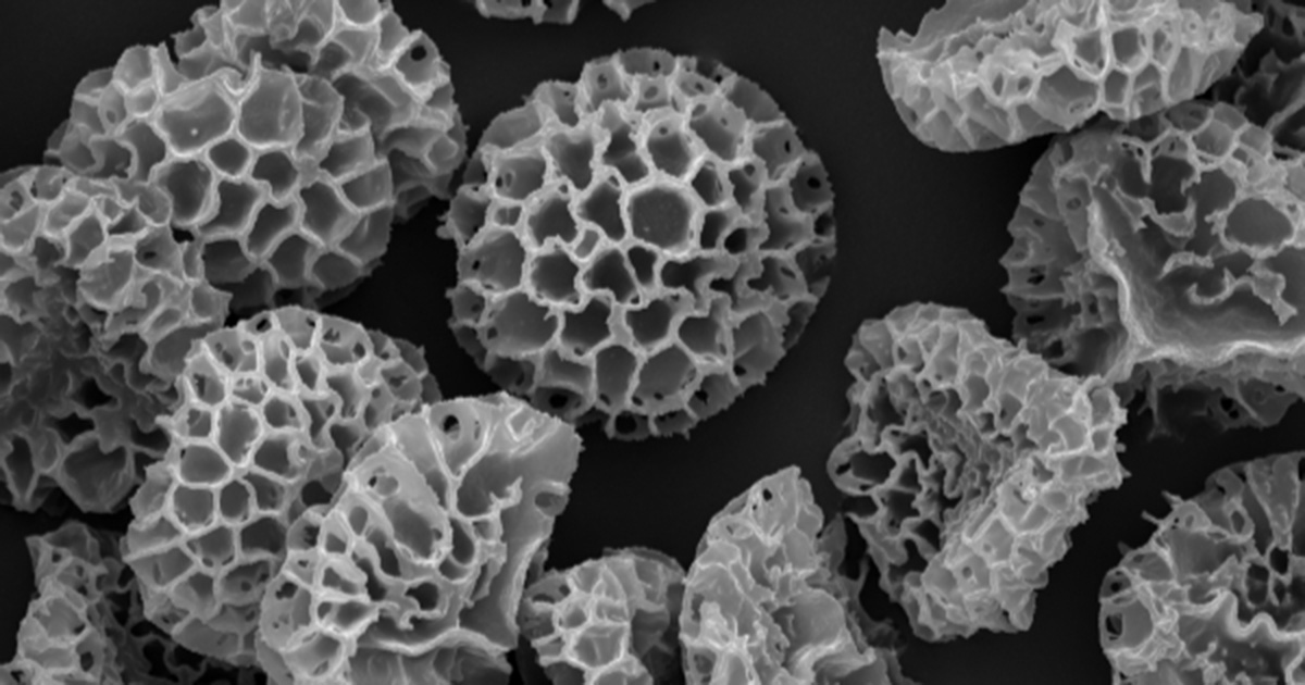 Powerful pollen | Queen's Gazette | Queen's University