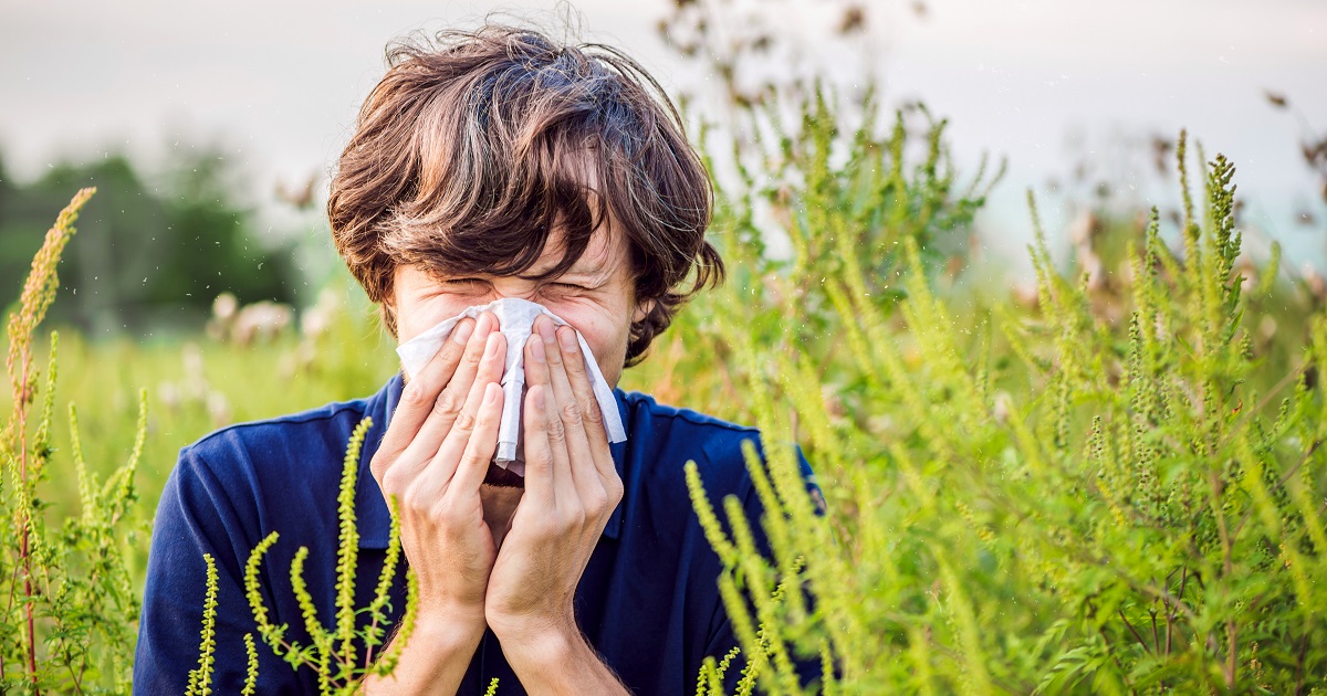 Got the sniffles? An expert’s tips on dealing with seasonal allergies ...