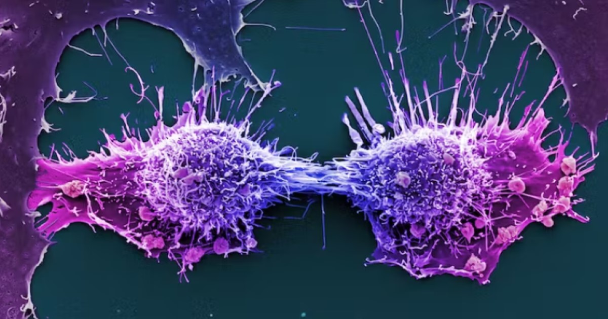 Settlement with family of Henrietta Lacks is an opportunity to reflect ...