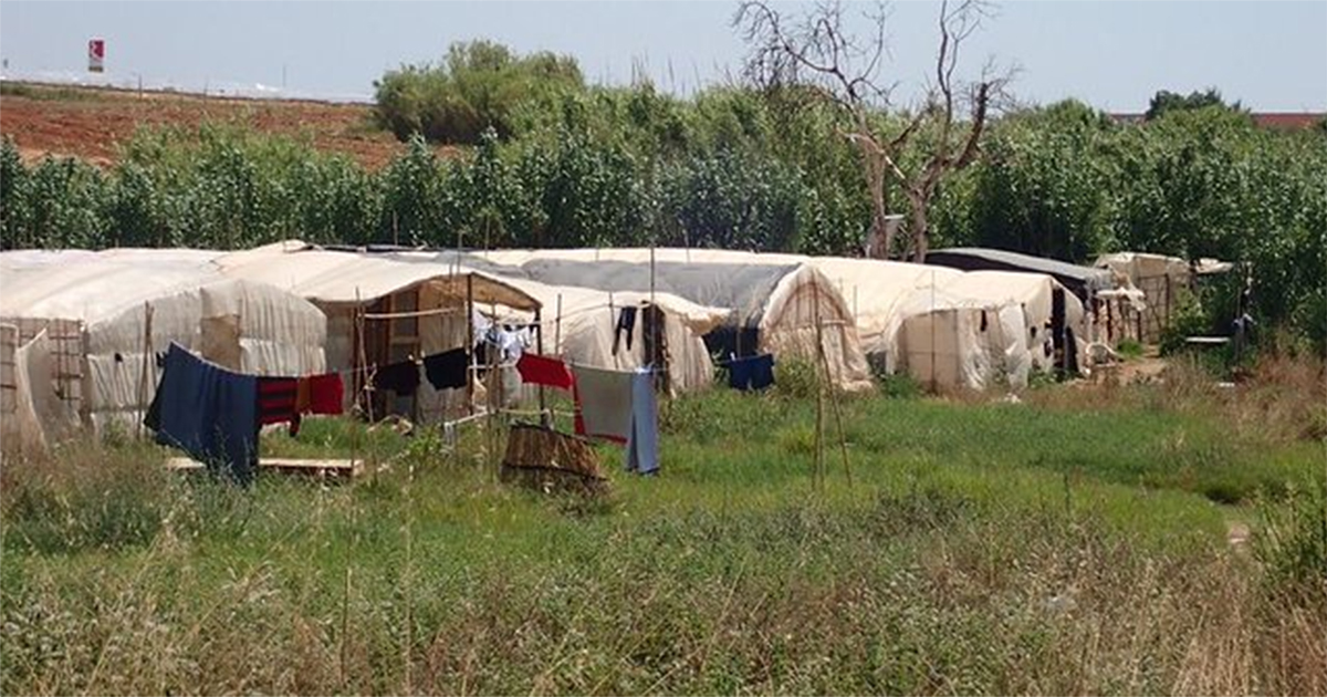 Migrant strawberry pickers in Greece face deadly conditions | Queen's ...
