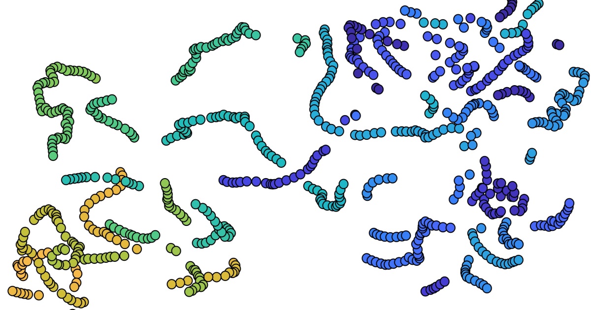 Exploring human mind | Queen's University Gazette