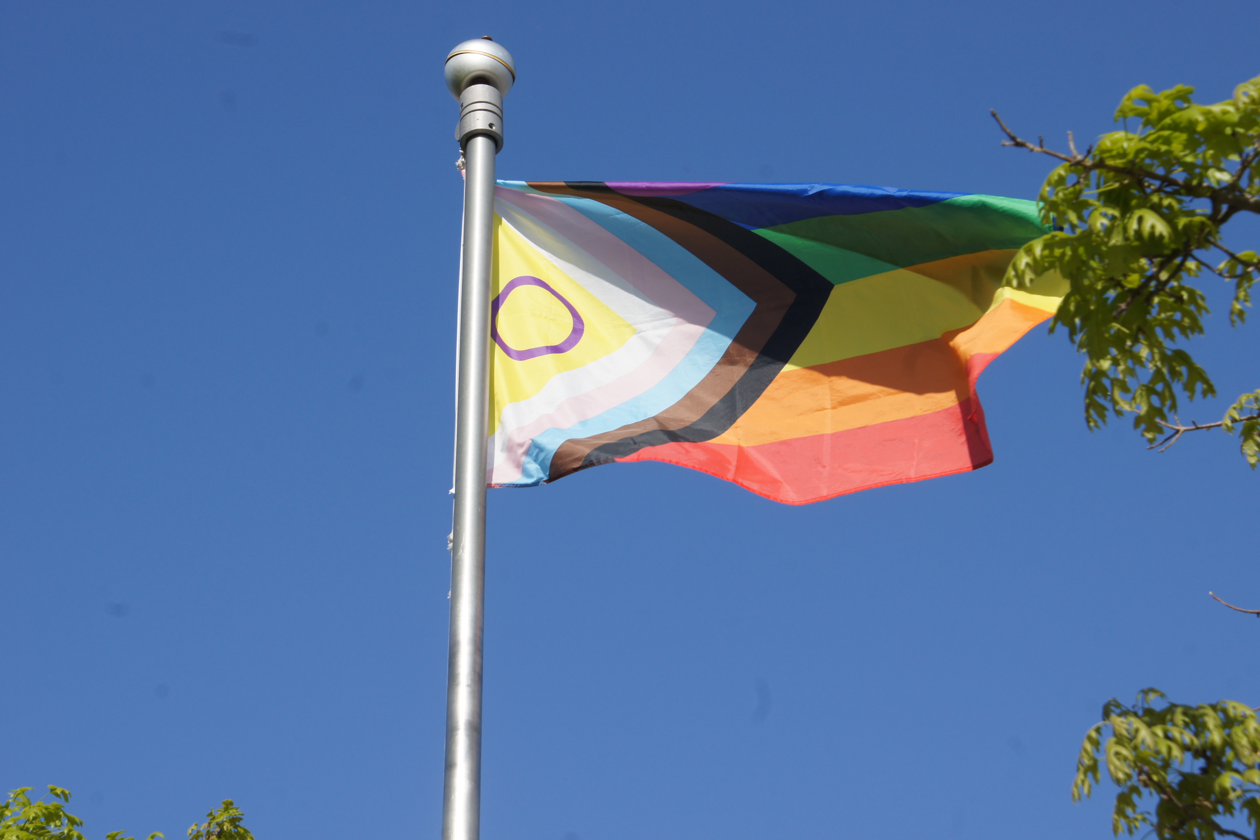 Pride Month begins with flag-raising ceremony and renewed commitment to ...