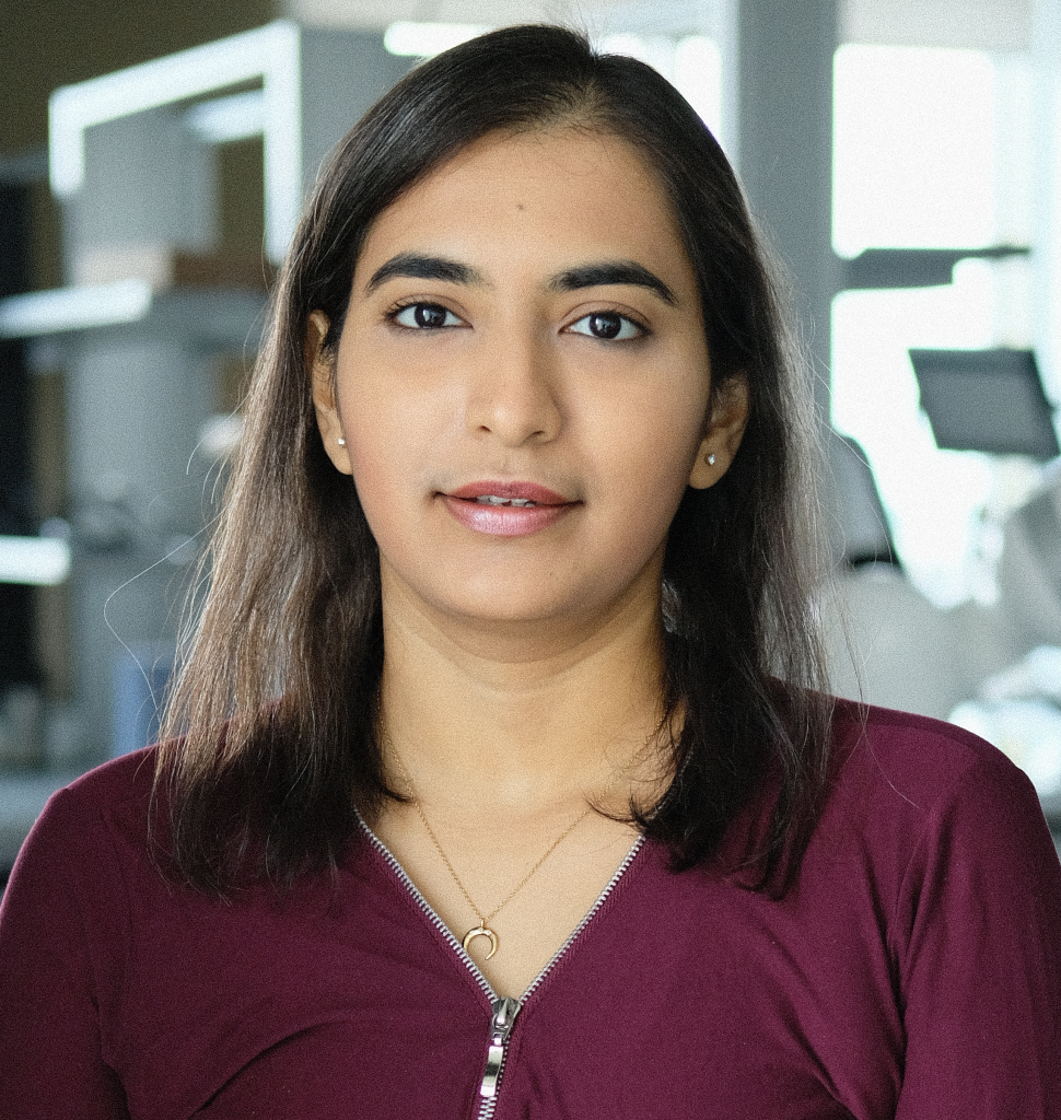 Biomedical Applications Of Small Scale Magnetically Actuated Robots