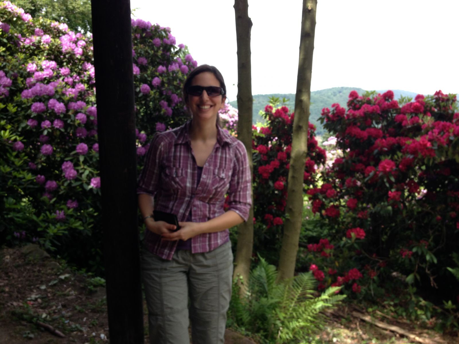 Sarah Sadavoy Bio | Sadavoy Group