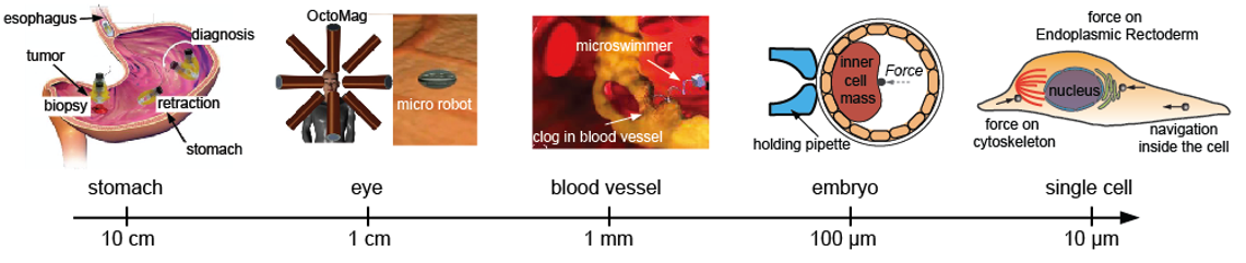 Overview | Xian Wang Lab