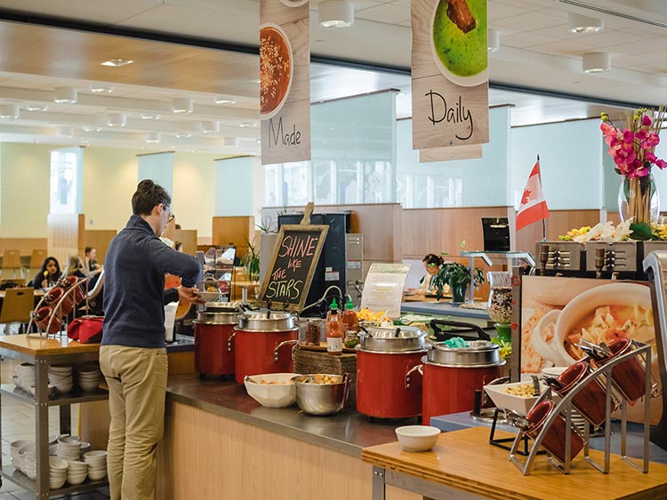 SDG 2: Zero Hunger | Sustainable Development Goals