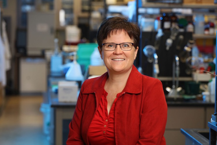 SDG 9: Industry, Innovation and Infrastructure | Sustainable ...